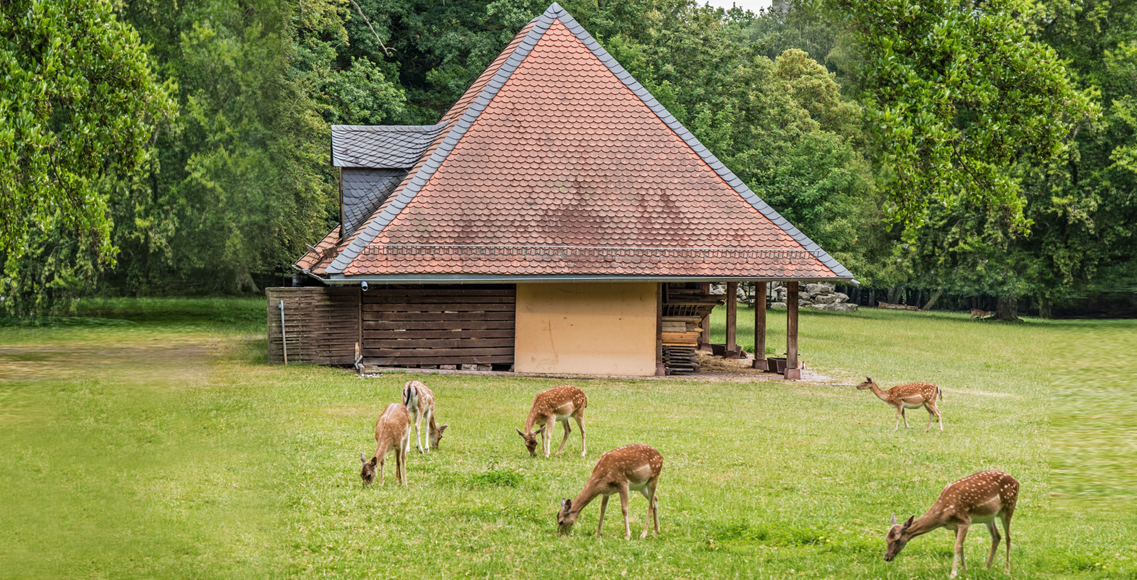 Hirschgarten Bad Homburg | Bad Homburg v. d. Höhe